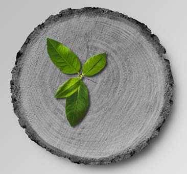 CleansersTonersExoliators – DECAAR KUWAIT