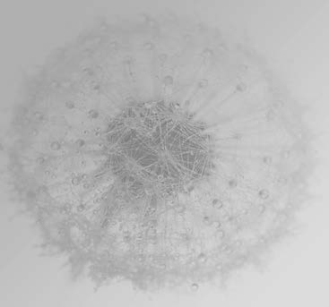 DelicateLine – DECAAR KUWAIT