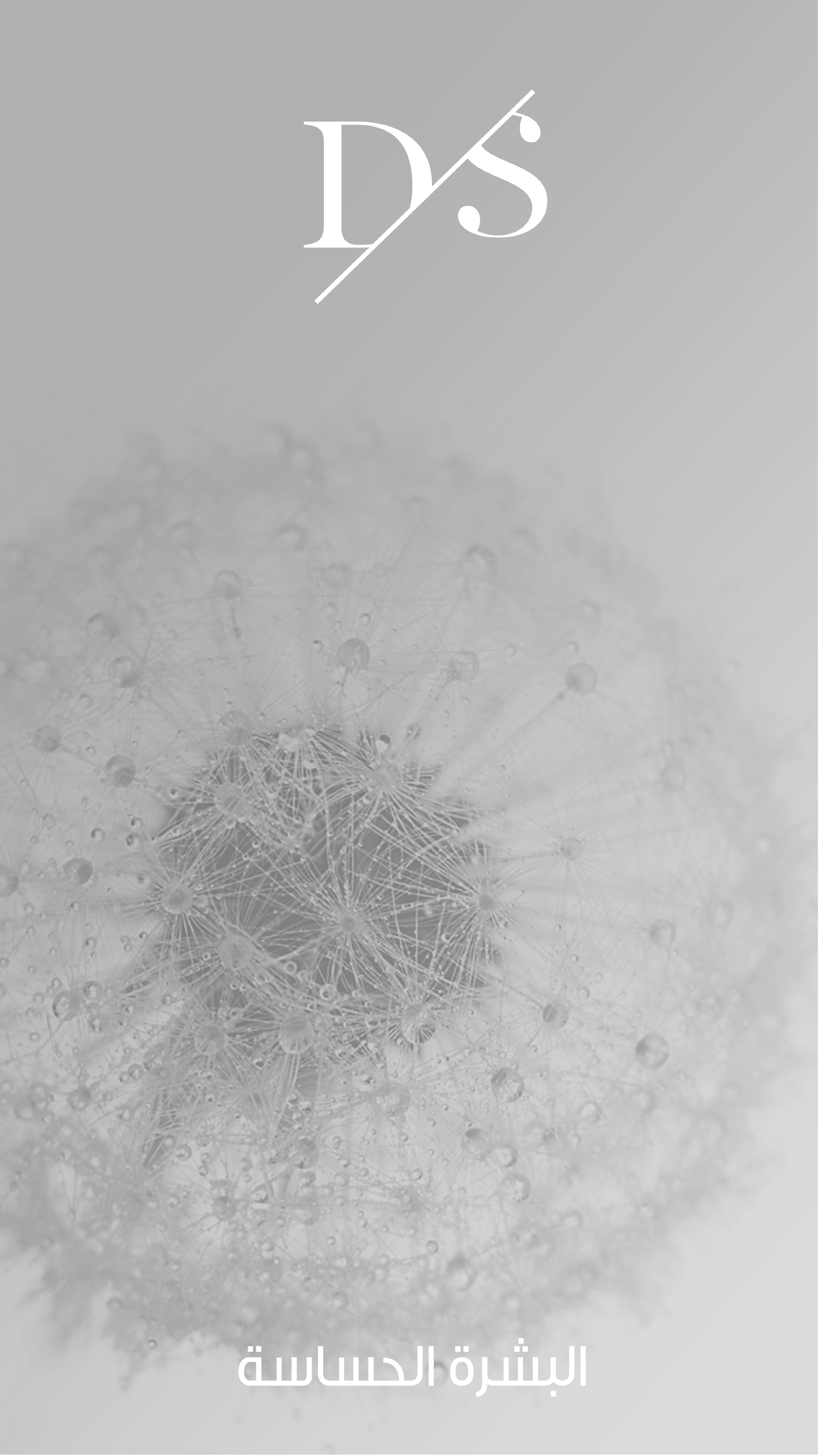 Artboard 11@4x – DECAAR KUWAIT